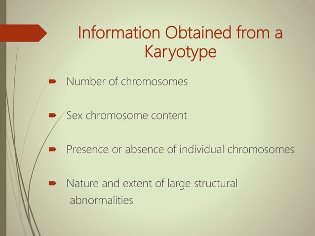 Human Karyotype ( Chromosomes) | PPTX | Biological Sciences | Science