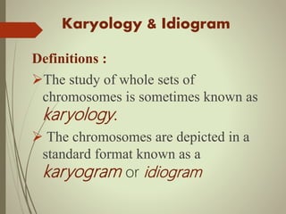 Human Karyotype ( Chromosomes) | PPTX