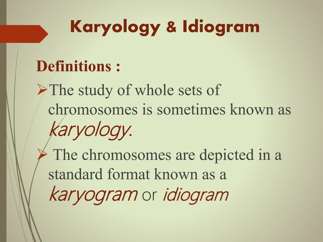 Human Karyotype ( Chromosomes) | PPTX | Biological Sciences | Science