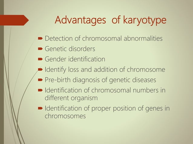 Human Karyotype ( Chromosomes) | PPTX | Biological Sciences | Science