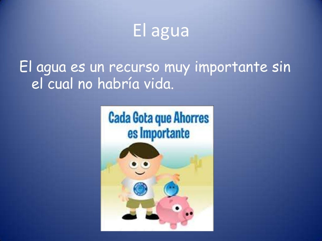 Importancia Del Agua