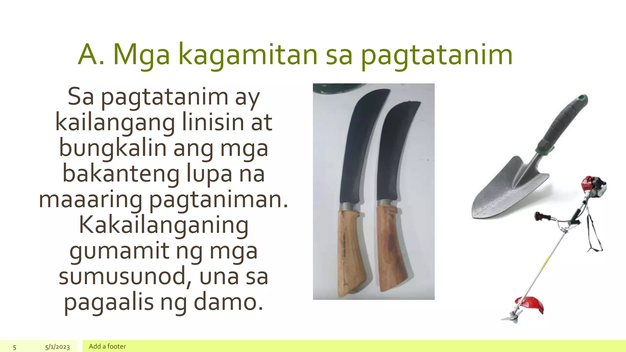 Kasanayan at Kaalaman sa Pagtatanim ng Halamang Ornamental.pptx