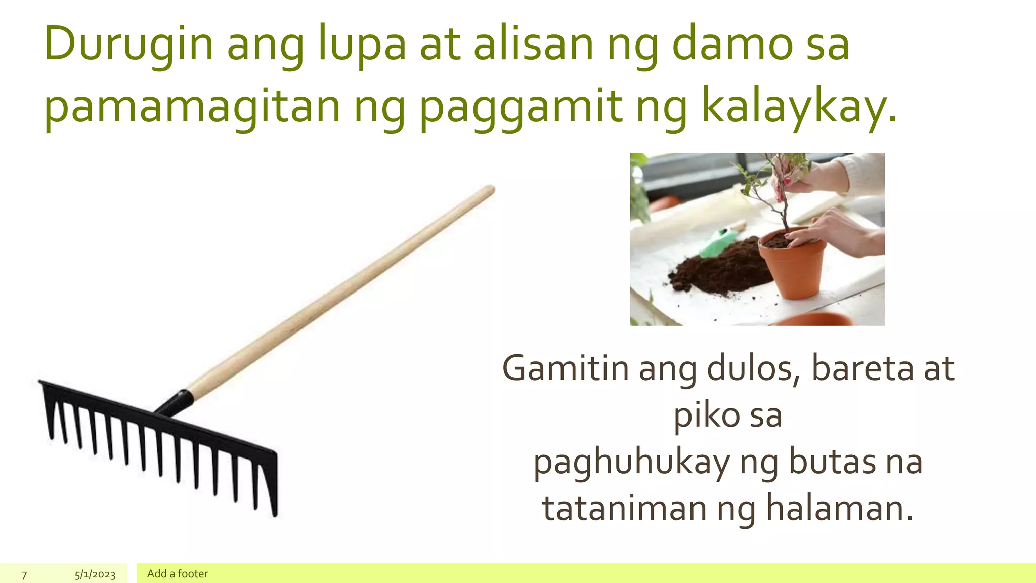 Kasanayan at Kaalaman sa Pagtatanim ng Halamang Ornamental.pptx