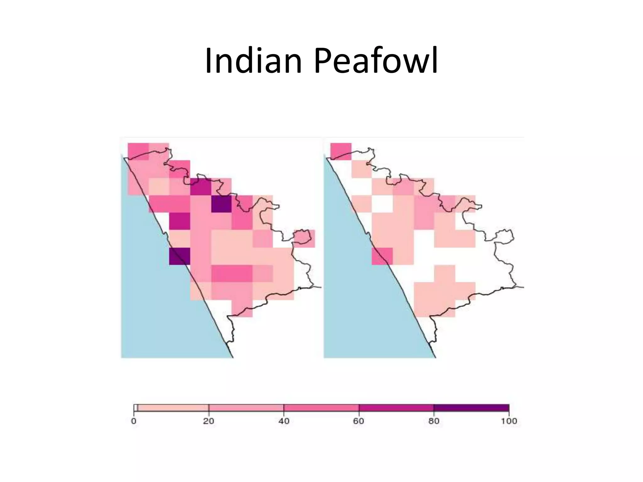 Kasaragod Bird Atlas: Overview 2017-2018 | PPT