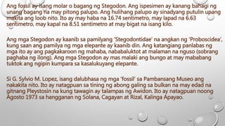 Ano ang Kasaysayan? | PPTX