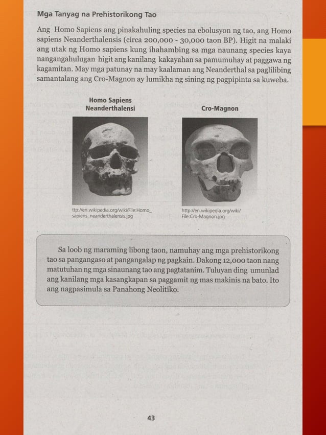 Grade 9 Module in A.P. (First Quarter) | PDF