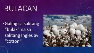 Kasaysayan ng mga Lalawigan sa Gitnang Luzon | PPTX