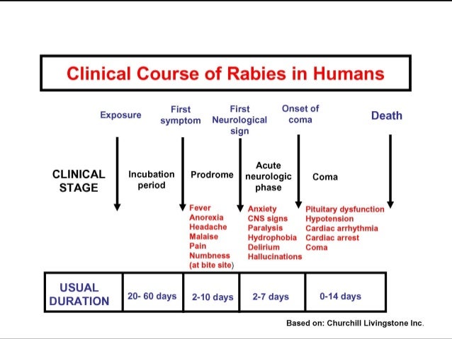 rabies ppt