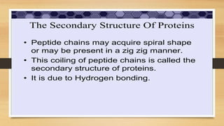 Proteins introduction and its structure. | PPTX