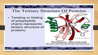 Proteins introduction and its structure. | PPTX