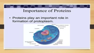 Proteins introduction and its structure. | PPTX