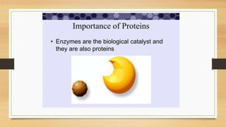Proteins introduction and its structure. | PPTX