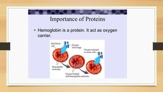 Proteins introduction and its structure. | PPTX