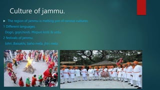 kashmir culture and heritage.pptx