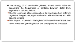 DNA-Protein interaction by 3C based method.pptx