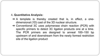 DNA-Protein interaction by 3C based method.pptx