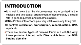 DNA-Protein interaction by 3C based method.pptx