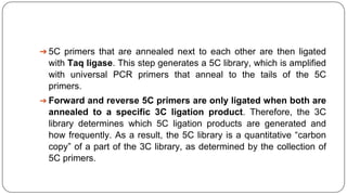 DNA-Protein interaction by 3C based method.pptx