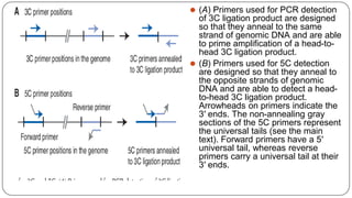 DNA-Protein interaction by 3C based method.pptx