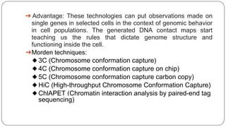 DNA-Protein interaction by 3C based method.pptx
