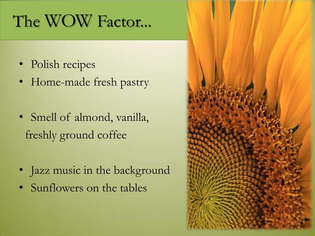 Winning Dragons' Den Pitch | PPTX