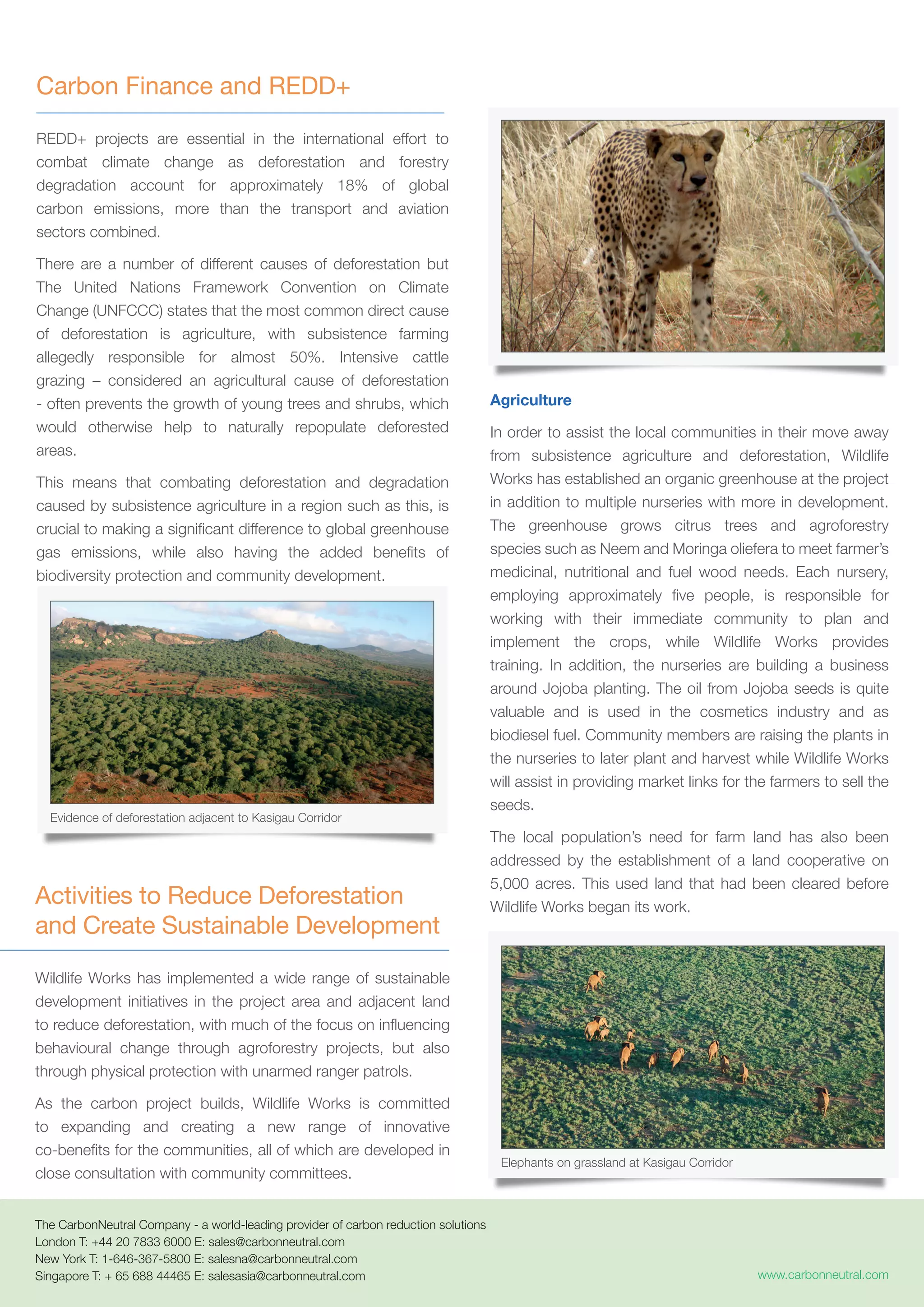 Kasigau Corridor carbon offset project | PDF