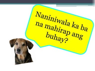 Kasipagan, pagpupunyagi, pagtitipid, at wastong | PPTX