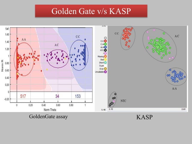 Single Nucleotide Polymorphism Genotyping Using Kompetitive Allele ...
