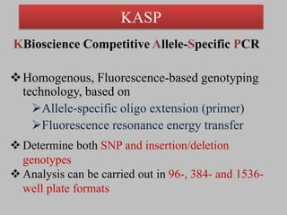 Single Nucleotide Polymorphism Genotyping Using Kompetitive Allele ...