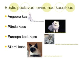 Kass | PPT