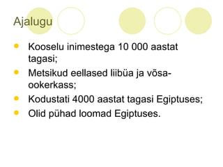 Kass | PPT