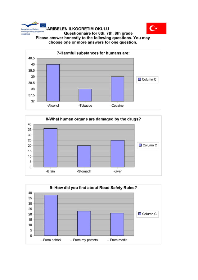 Kas saribelen questionnaire for 6 7-8 ing-2011 | PDF