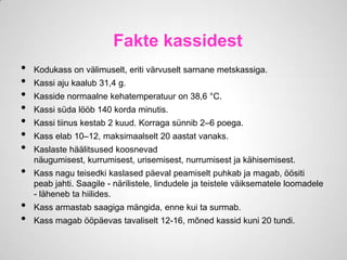Kassid | PPTX