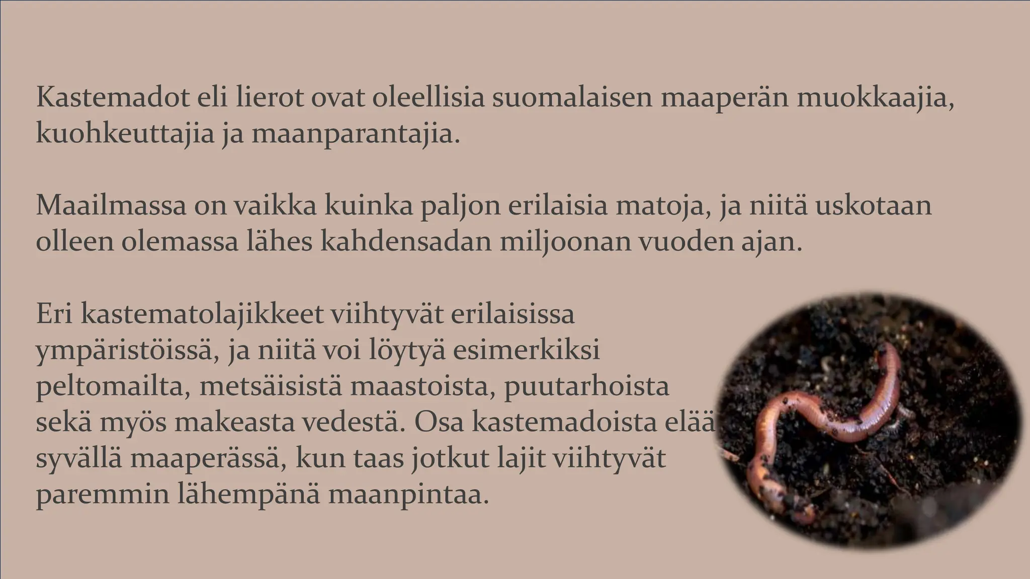 kastemato.pptx