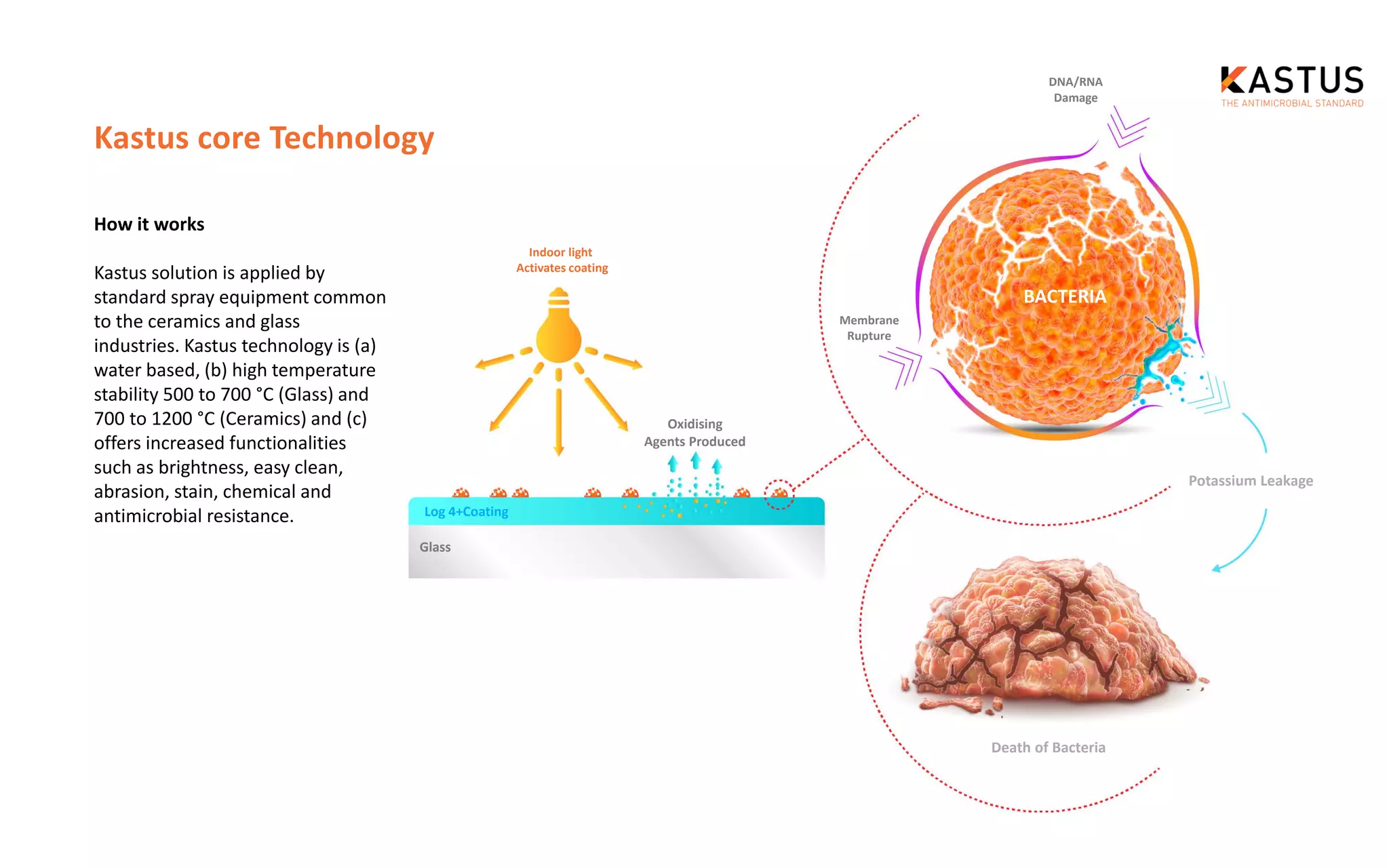 We See A World Were High Touch Surfaces Are Protected. | PPT
