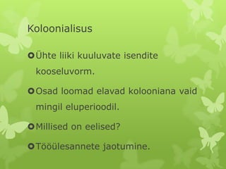 Organismide kooselu | PPTX