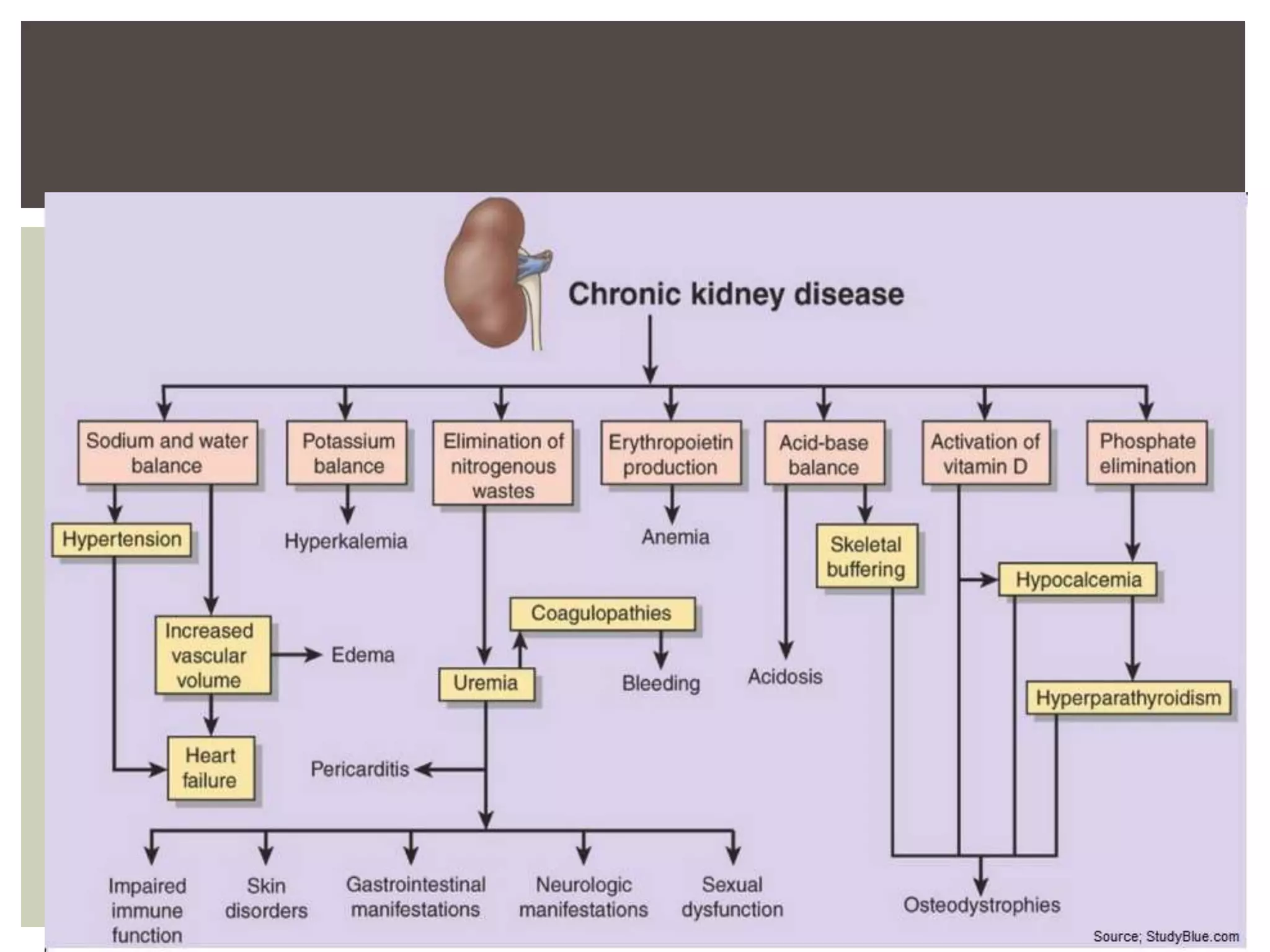 Kasus 2 hiperglikemia ec dm2, dispnea susp broncopneumonia dd tb, arf ...