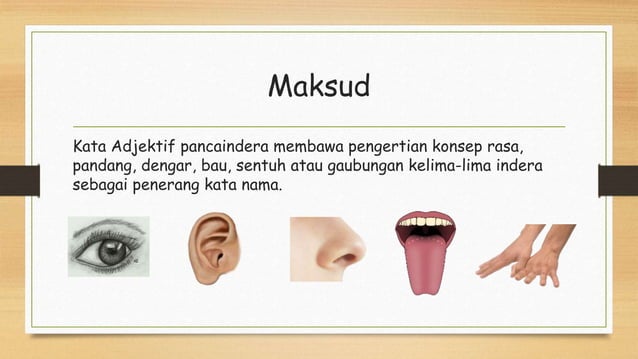 Kata adjektif pancaindera | PPTX