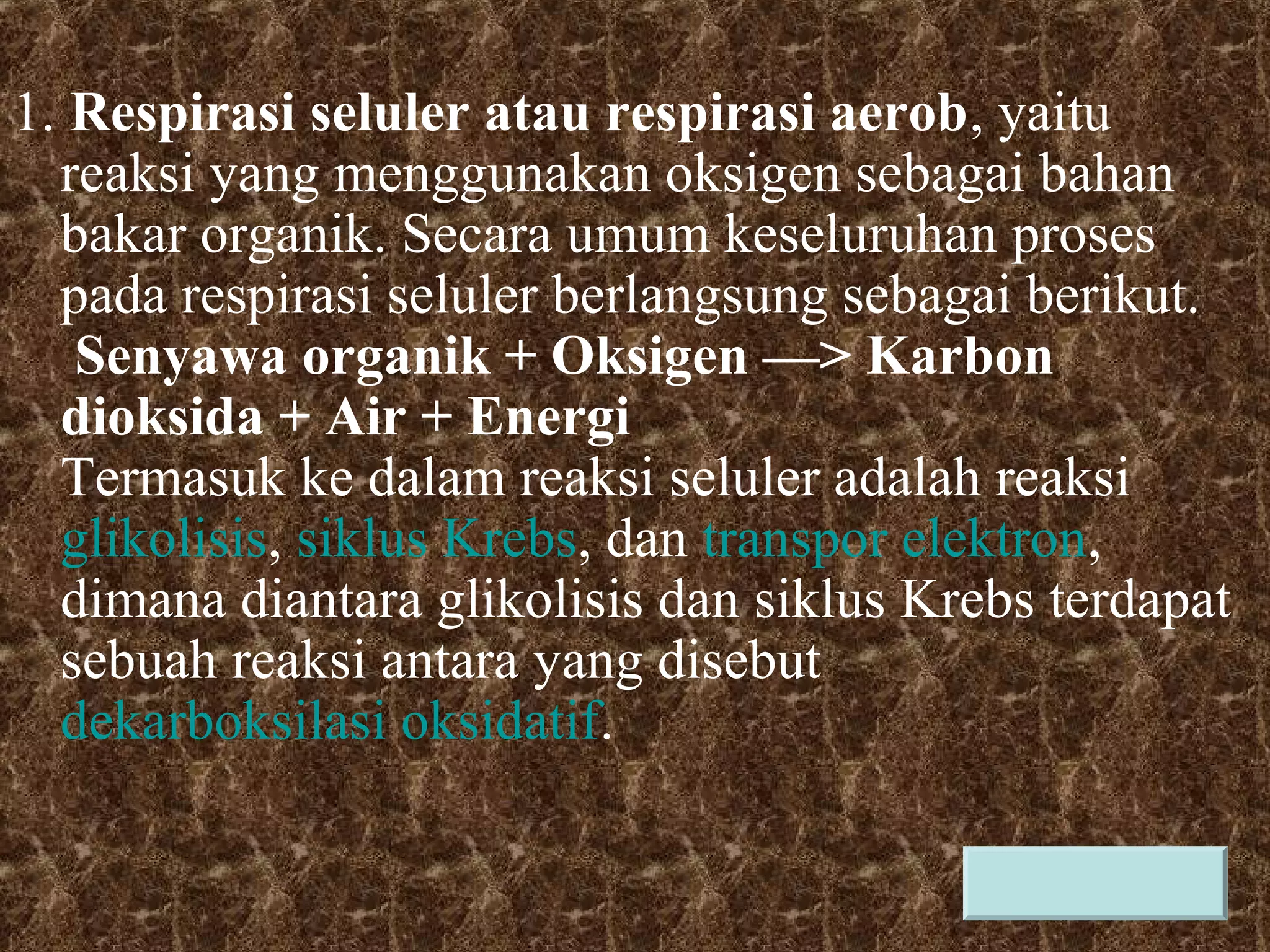 Katabolisme | PPT