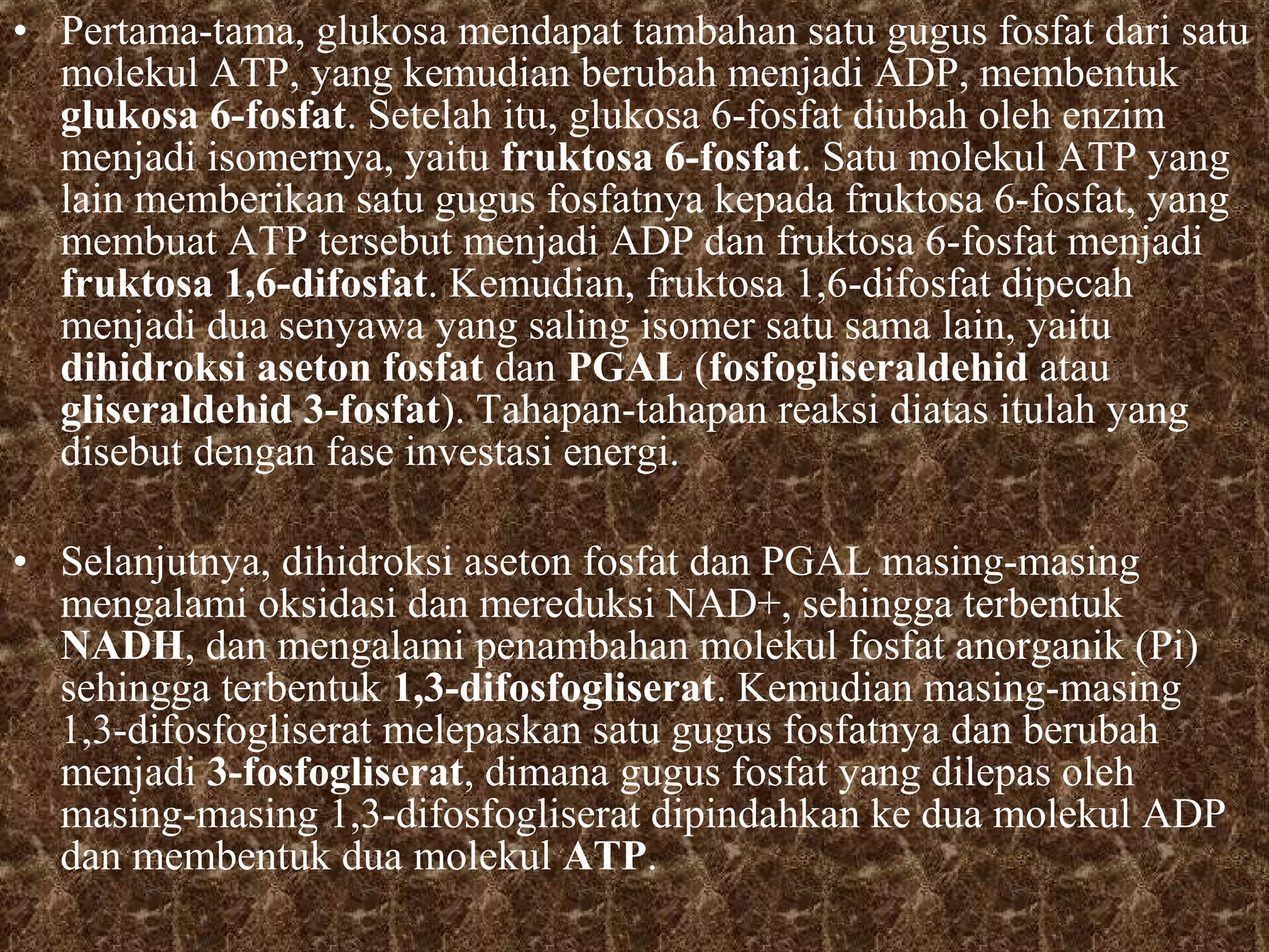 Katabolisme | PPT