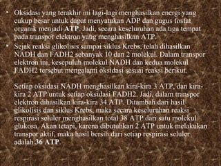 Katabolisme | PPT