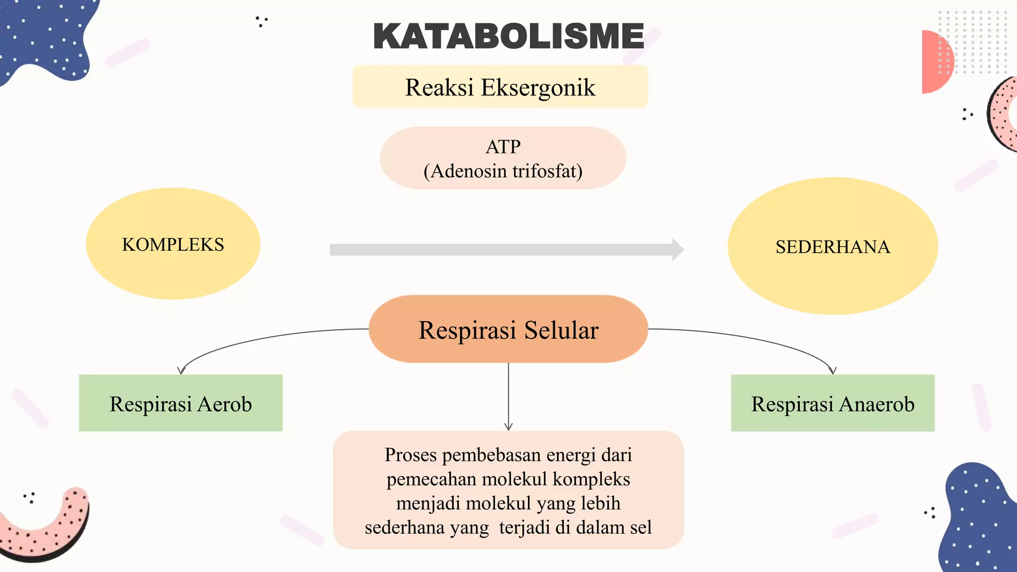 Katabolisme | PPTX