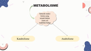 Katabolisme | PPTX