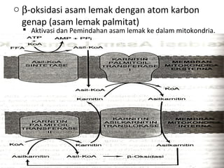 Katabolisme asam lemak | PPT