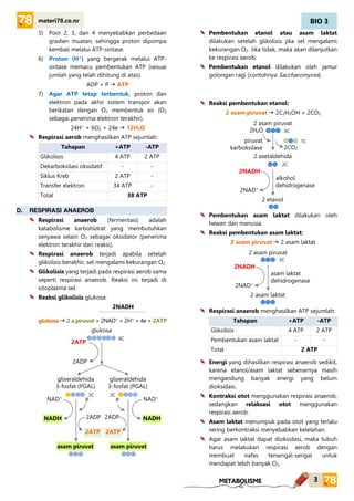 MATERI Katabolisme KELAS XI SMA | PDF