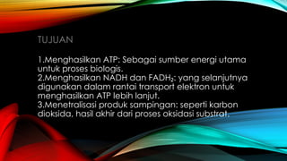 Katabolisme karbohidrat dan penjelasan deskripsinya | PPTX