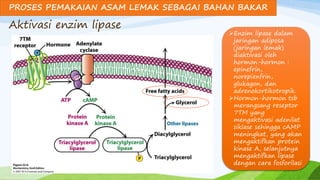 Katabolisme lemak | PPTX