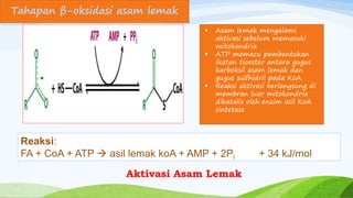 Katabolisme lemak | PPTX