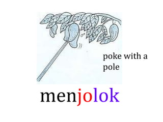 Katahampirsama 2 memetik | PPT