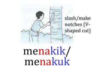 Katahampirsama 2 memetik | PPT